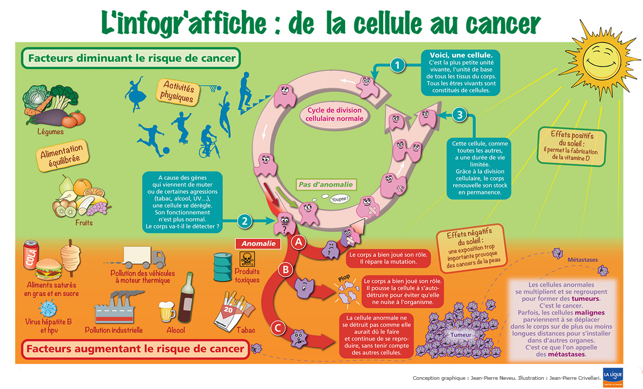 C'est quoi, un cancer ? - Lig'up (Communauté Éducative)