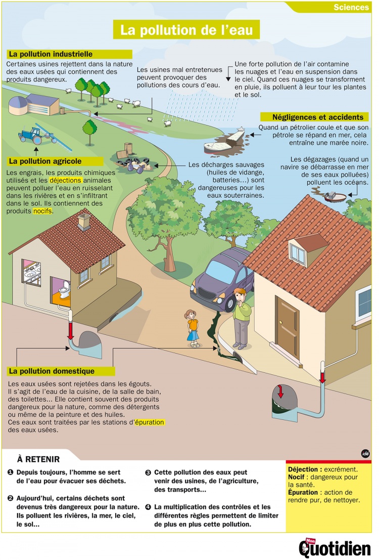 Infographie Mon Quotidien : L’eau nous est indispensable - Lig'up (Communauté Éducative)